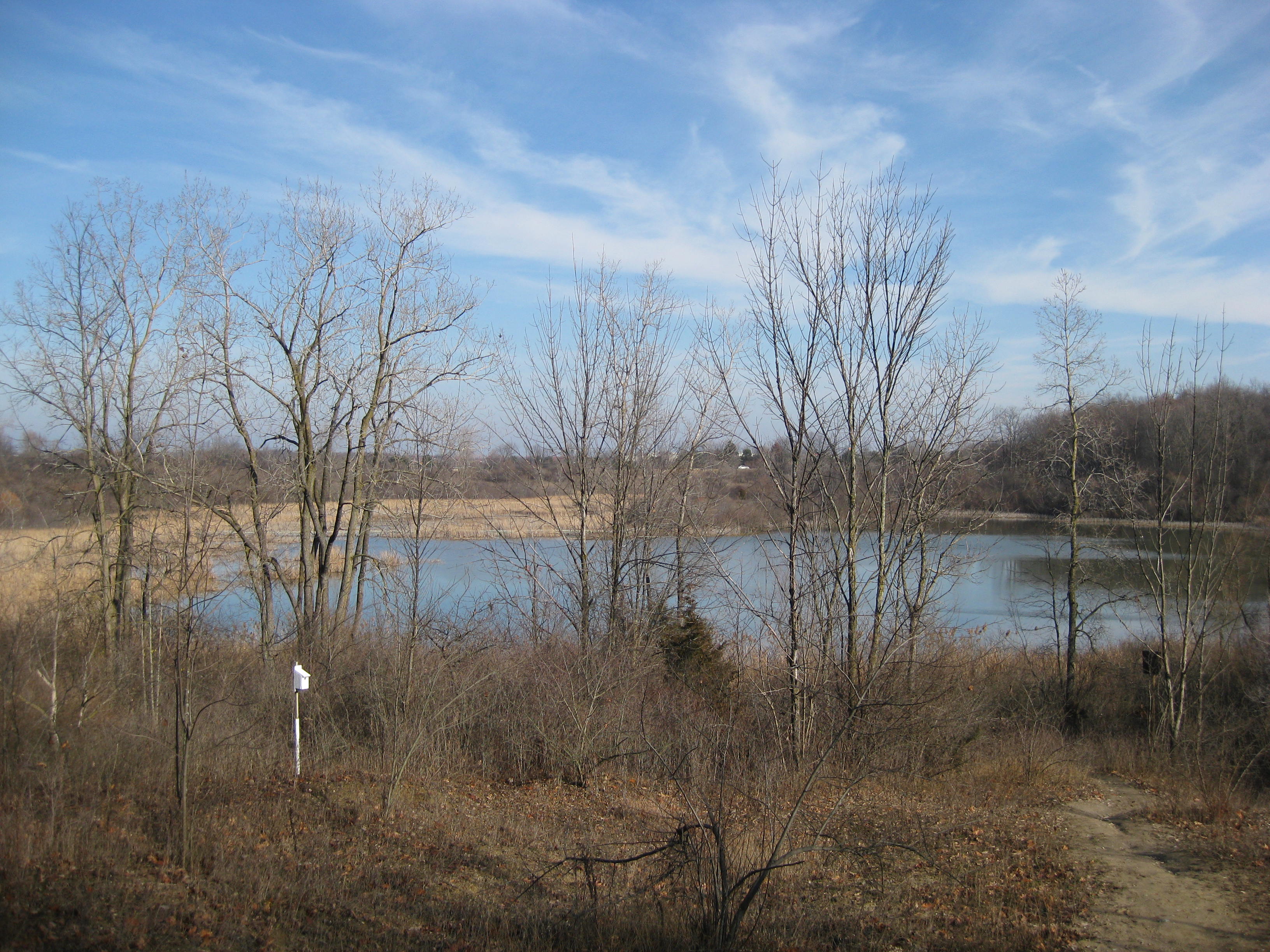 Welcome to Xiaoli Ma 's | Life and Love