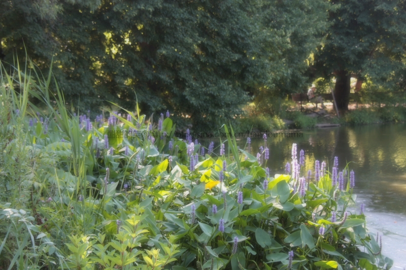 The Park at the End of the Road | Welcome to Xiaoli Ma 's