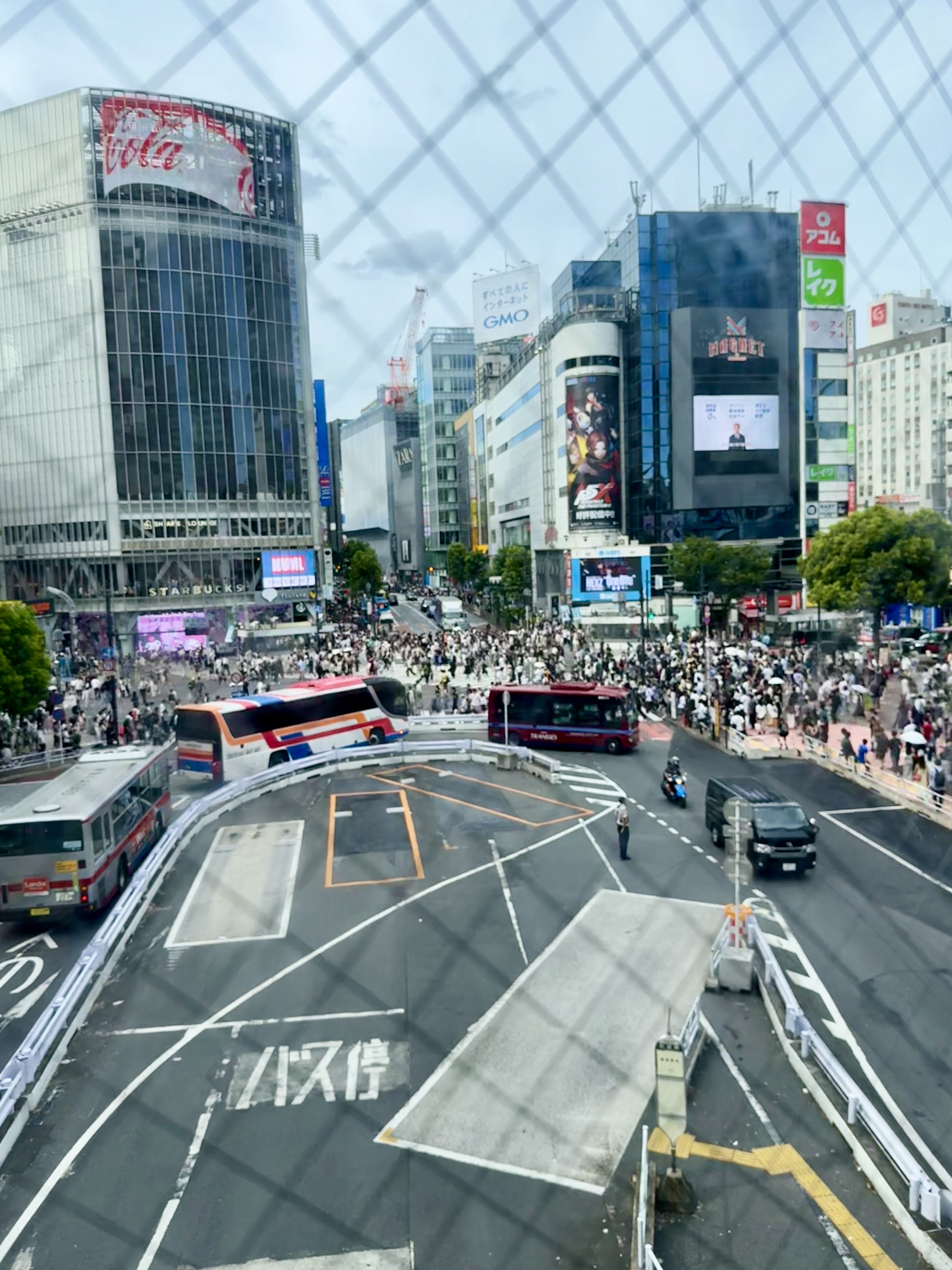 The Place I Long to Return: Tokyo | Welcome to Xiaoli Ma 's